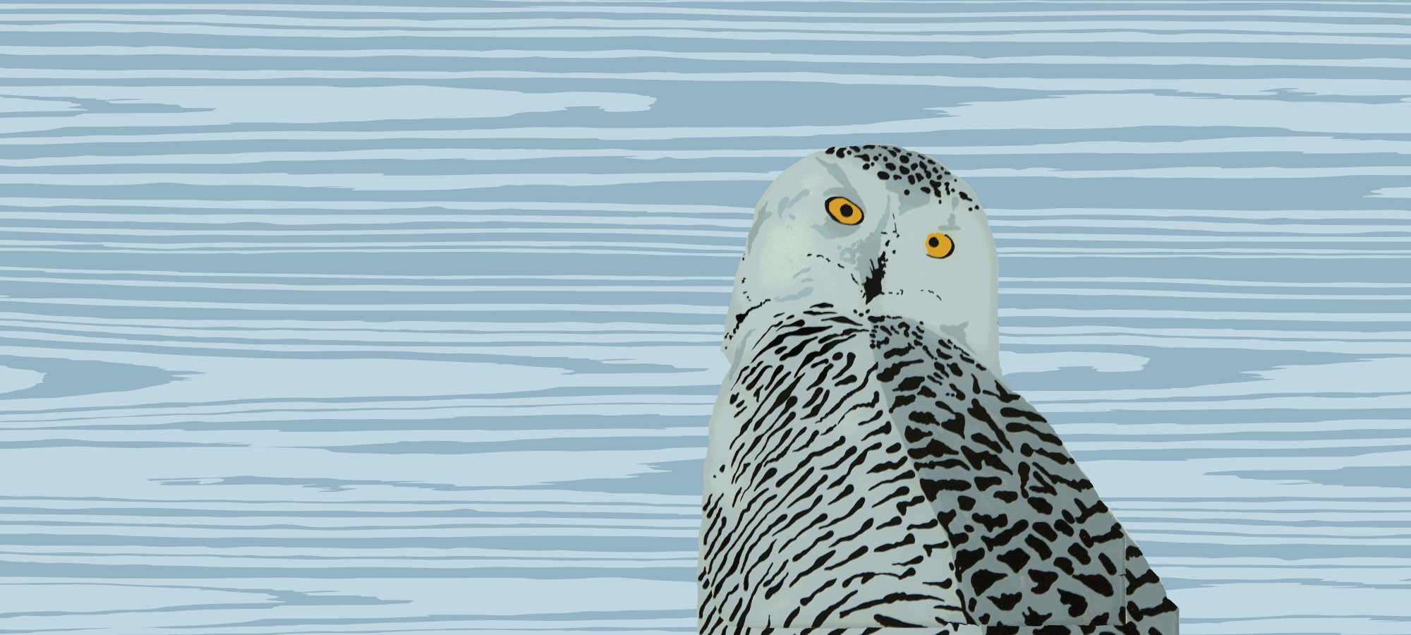 Fair Trade, Certified Organic, Shade Grown Coffee – Just Coffee Cooperative